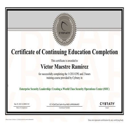 Enterprise Security Leadership: Creating a World Class Security ...