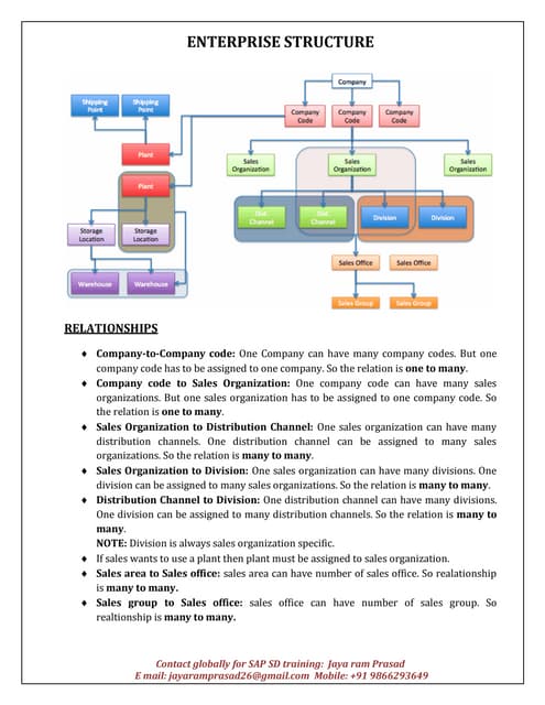 Guide to Configure Custom SD Output Types in S/4HANA Using BRF+ | PDF