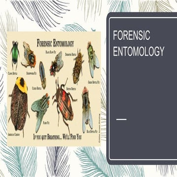 Forensic Entmology | PPTX