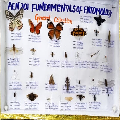 ento.pdf entomology insect and it's appendages | PPT