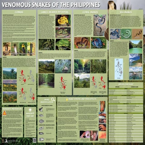ento-snakes-philippines-poster.pdf snakes.......... | PDF