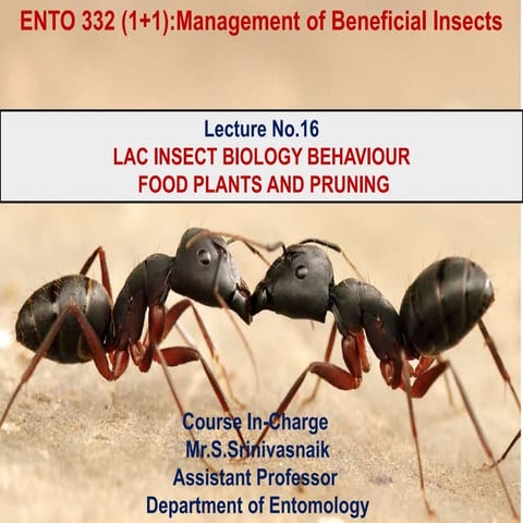 ENTO 332_Lec No.14_Lac Insects.ppt