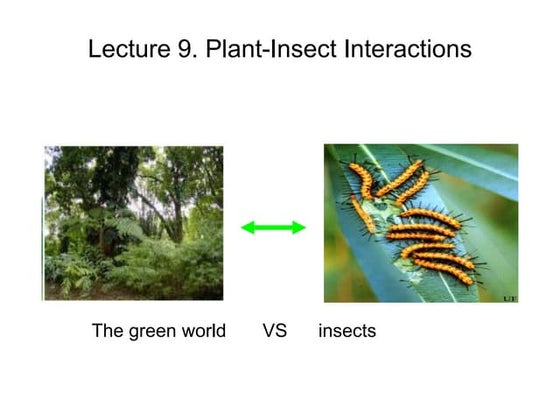 Phytophagous insect and their host finding mechanism | PPTX