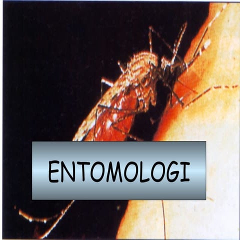 penjelasan ilmu entomologi kesehatan dan riciannya | PPT