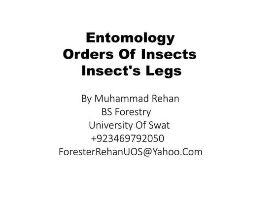 orthoptera order of insect and its classification. | PPTX | Food & Drink