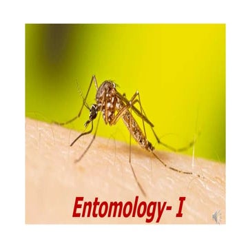 ENTOMOLOGY- Mosquitoes.pptx