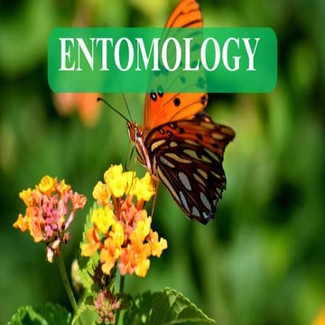 Characteristics and types of insects.pdf