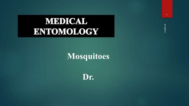 Mosquitoes | PPTX