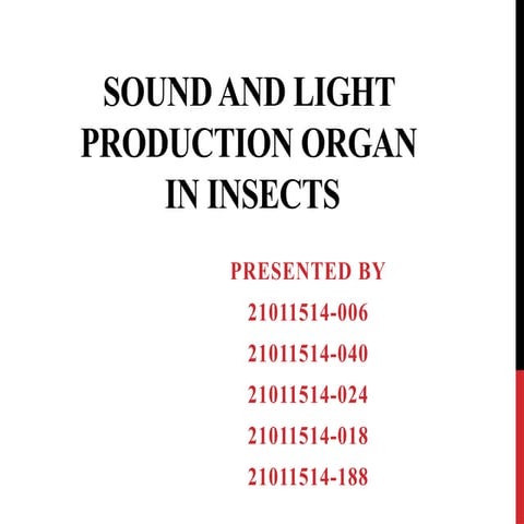 ENTOMOLOGY Ppt - A guidelines for students | PPTX