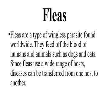 ENTOMOLOGY Prepared slides with examples ppt 3.pptx