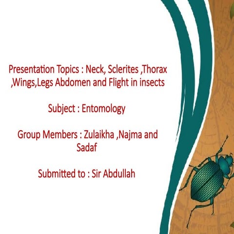 Insect Wings, Structure and their Modifications | PPTX