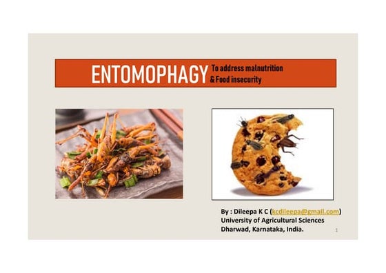 Insects as Human Food | PPTX | Beekeeping | Hobbies & Interests