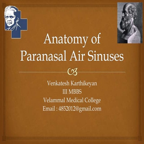 Anatomy Of Paranasal Sinuses | PPT