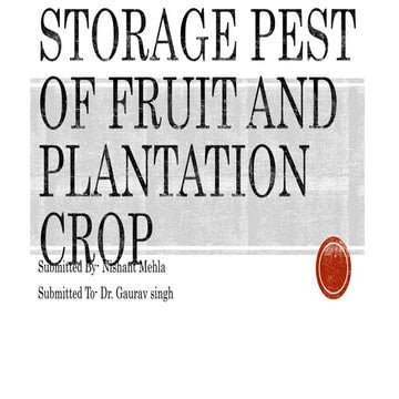 storage insects.pptx