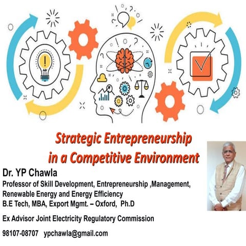 Strategic Entrepreneurship in a Competitive Environment | PDF