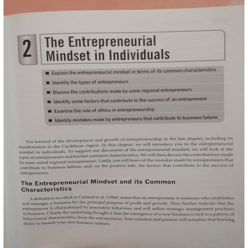 The Entrepreneruial Mindset | PDF