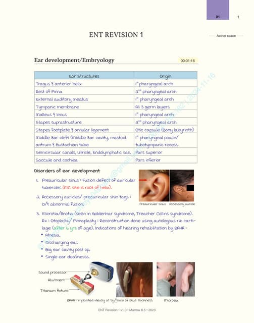 Tympanic Membrane Dr Fadil Pdf