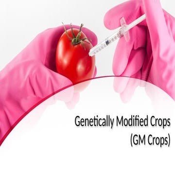Genetically Modified Crops (GMO) and Food Security | PPTX