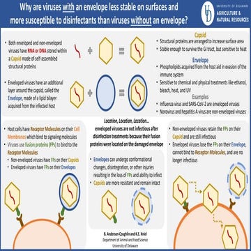 enveloped-vs-unenveloped-virus.pdf