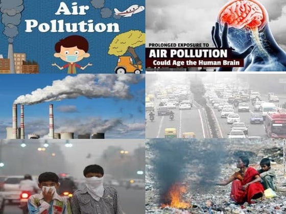 Environmental Pollution | PPT