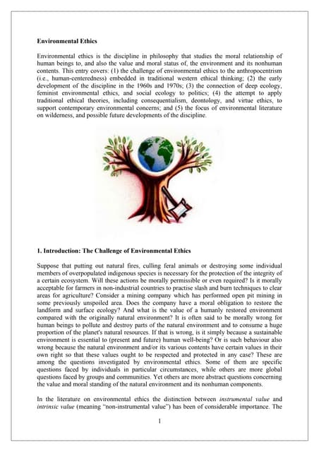 Environmental ethics | PDF