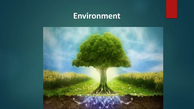 Our environment Class - 7 | PPTX