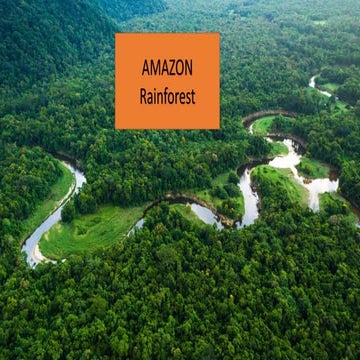 The Amazon Rainforest | PPT
