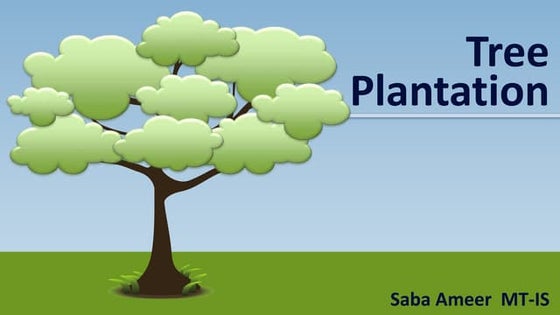 Tree plantation | PPT