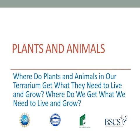 What do plants & animals need to live | PPTX