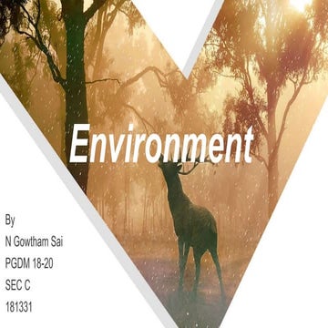 Environment | PPTX
