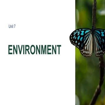 environment.pptx