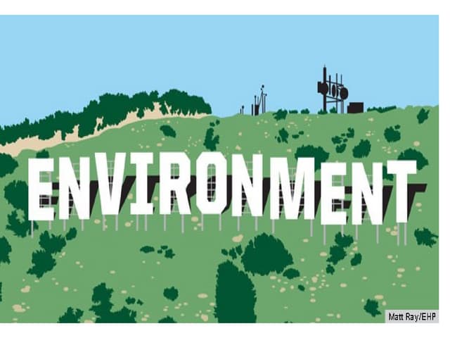 Environment grade 3 | PPTX