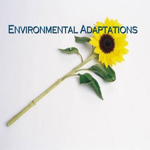 Environmental Adaptation | PPT