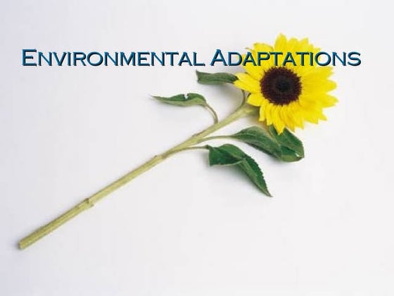 Plants habitat | PPT