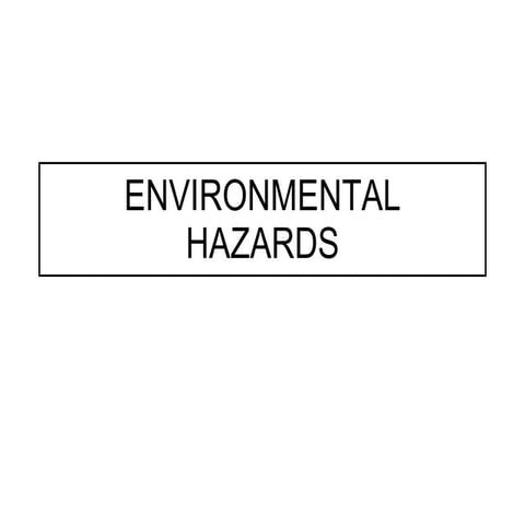 Environmental Hazards | PPT