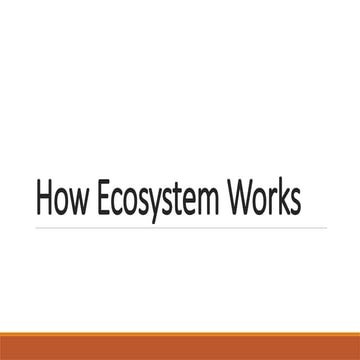 Ecosystem food chain food web biosphere.pptx