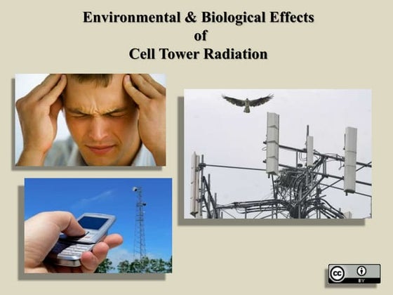 Cell Phone Radiation A Threat To Birds.pptx