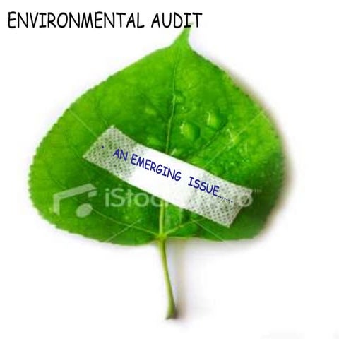Environmental audit | PPS