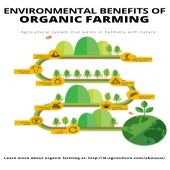 Environmental Benefits Of Organic Farming
