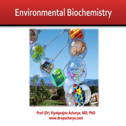 Environmental Biochemistry.pptx