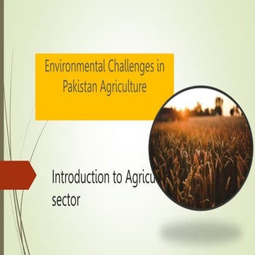 Environmental Challenges in Pakistan Agriculture By Muzammal , Saliha.pptx