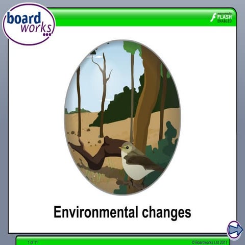 Impact of Environmental Change on Species Extinction and Biodiversity ...