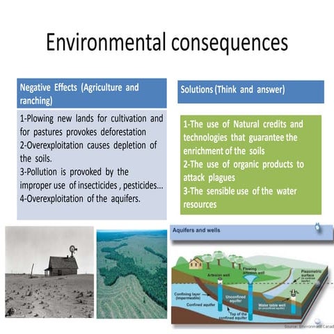 Environmental consequences primary sector | PPTX