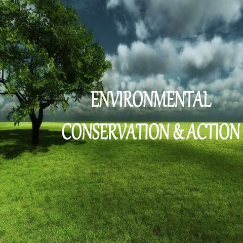 Environmental conservation & action | PPTX