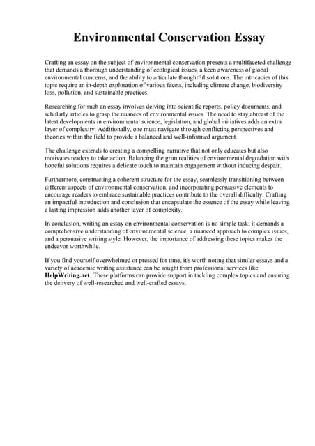 Essay On Sustainability | PDF