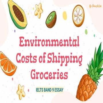 Environmental Costs of Shipping Groceries.LoveLEE.pdf