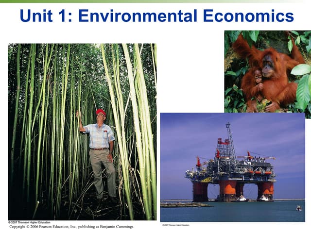 Economics of Natural Resources | PPTX