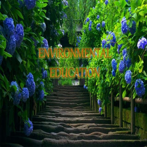 Environmental Education ( Special Topics) | PPTX