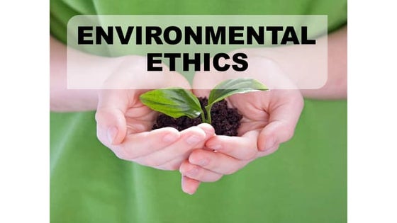 Essay On Environmental Ethics | PDF