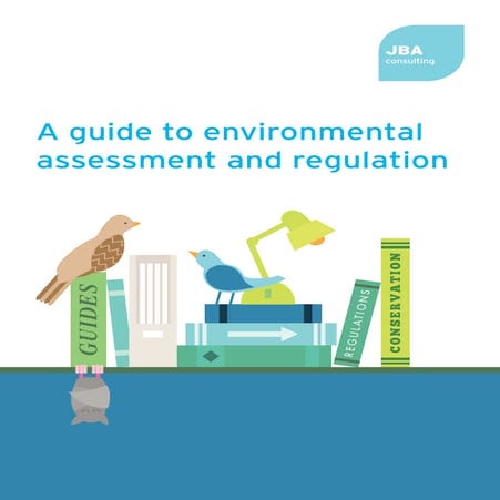 JBA Consulting Guide to Environmental Assessment | PDF